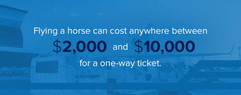 A Guide To Horse Transportation Costs