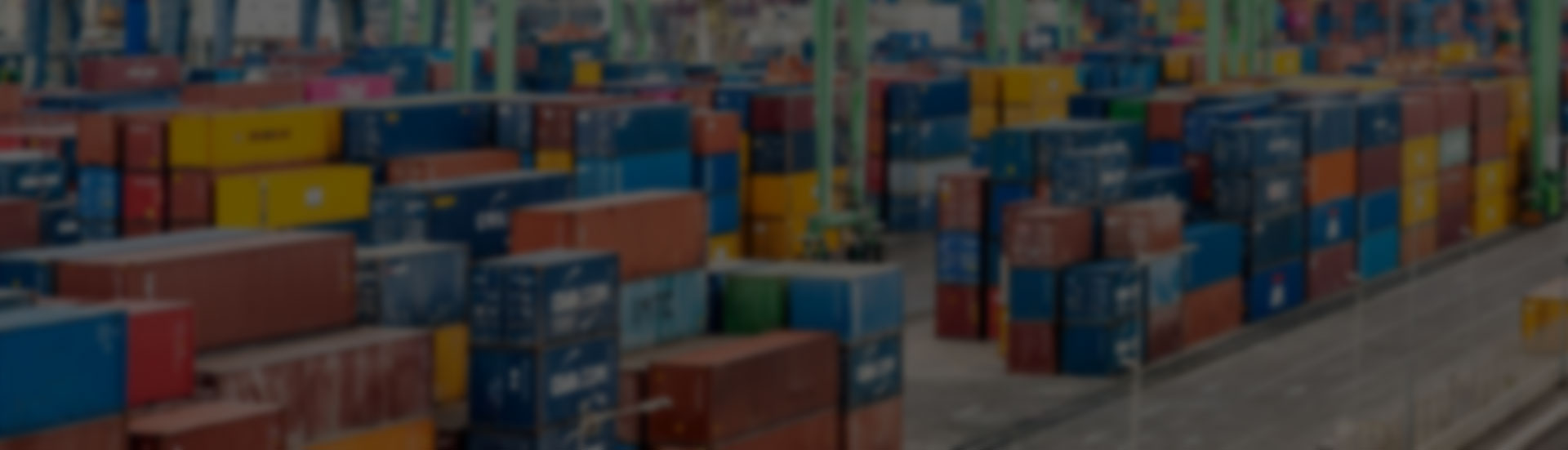 USA Customs Services - EMO Trans, Inc.